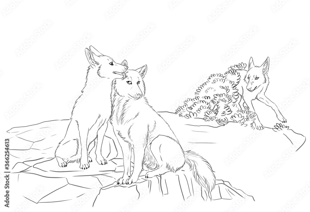 Black and white digital illustration of two wolves cuddling while a ...