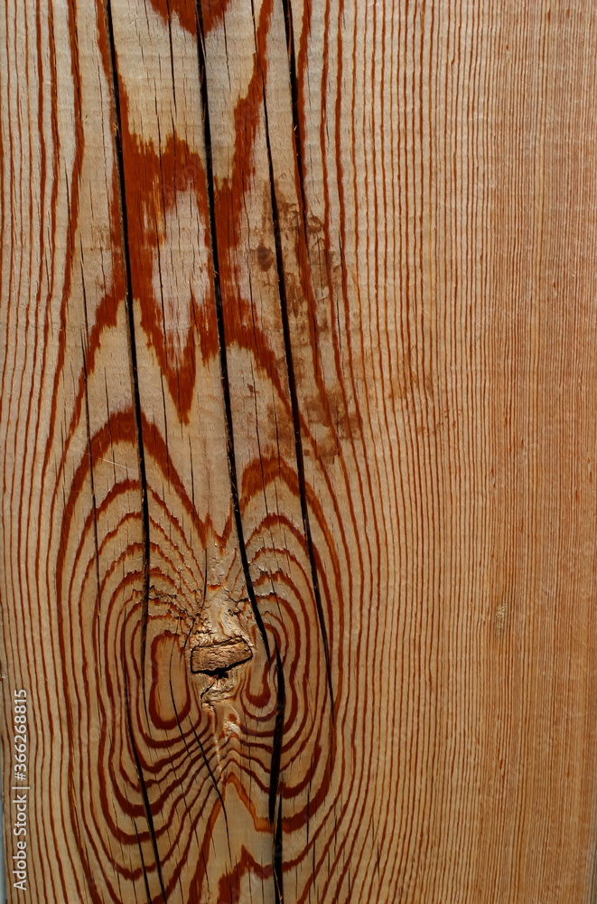 Beautiful tree structure on the cut boards and annual rings Stock Photo ...