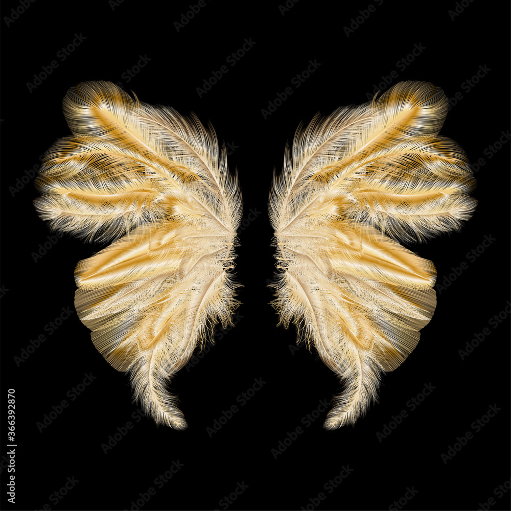 Butterfly wings with feathers. Modern abstract art Golden Feather ...