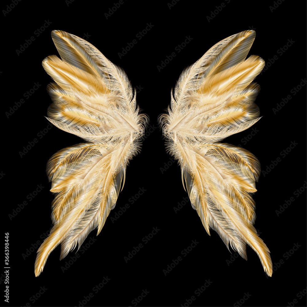 Butterfly wings with feathers. Modern abstract art Golden Feather ...