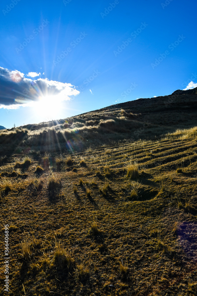 Foto de El sol del atardecer alumbra de quebrada lleno de pasto y el ...
