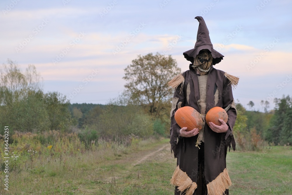 Evil Scarecrow Costume