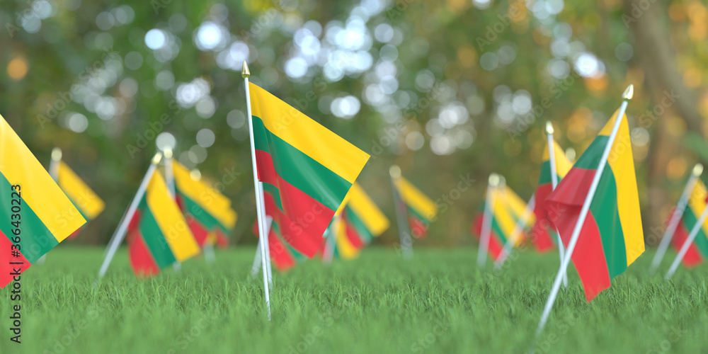 Flags of Lithuania in the grass. National holiday related 3D rendering ...