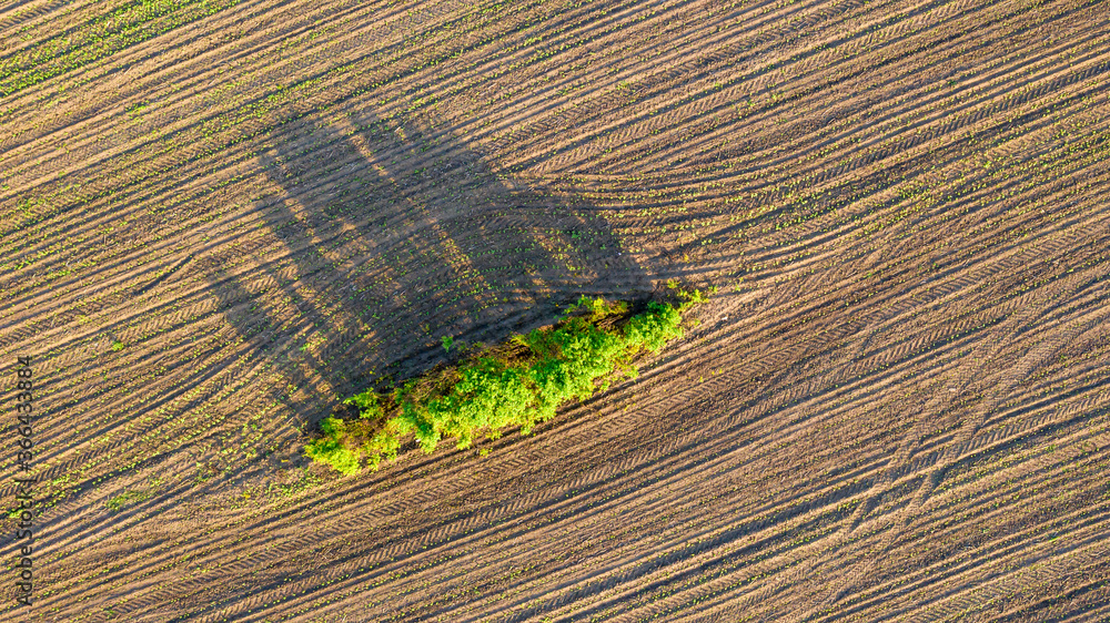 Aerial top view from drone of the summer country field and line of ...