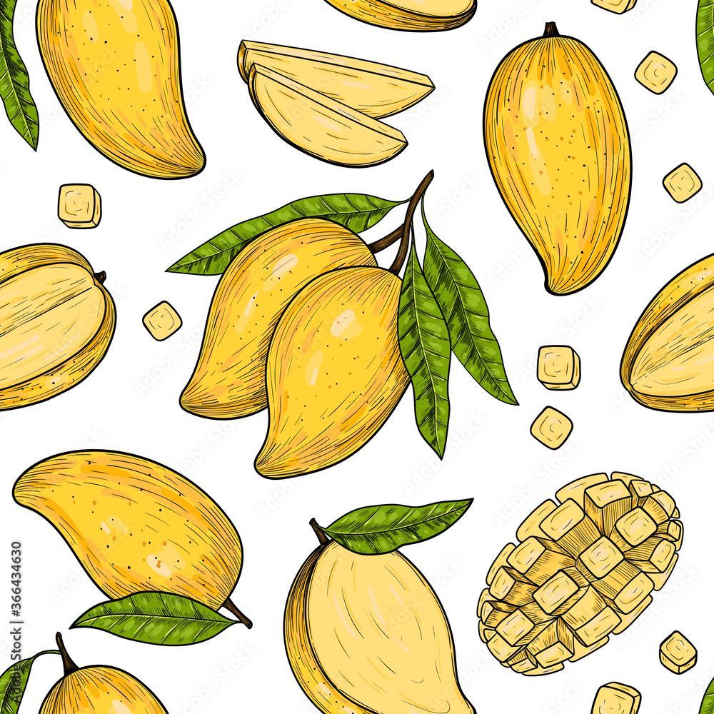 Vector mango hand drawn sketch. Vector seamless pattern. Vintage style ...