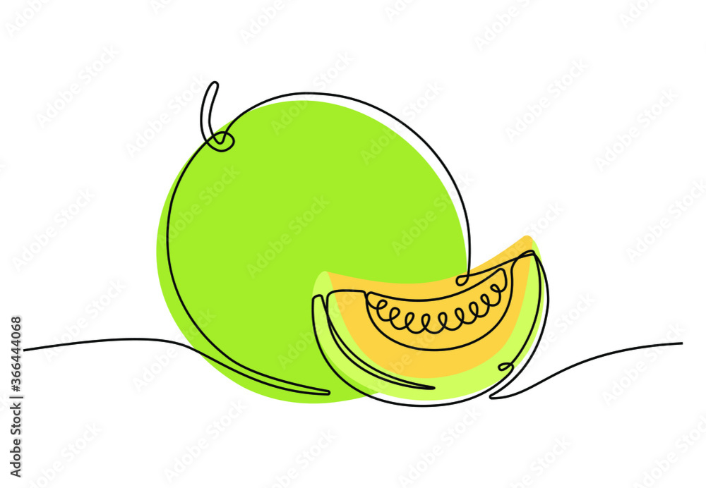 Сontinuous line drawing of whole and sliced melon for fruit garden icon ...