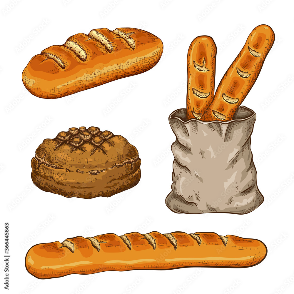 hand drawn breads set isolated on white. vintage illustration of ...