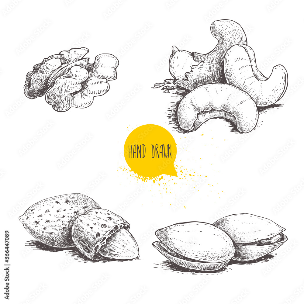 Hand drawn sketch style nuts set. Walnut, cashew, almonds and ...