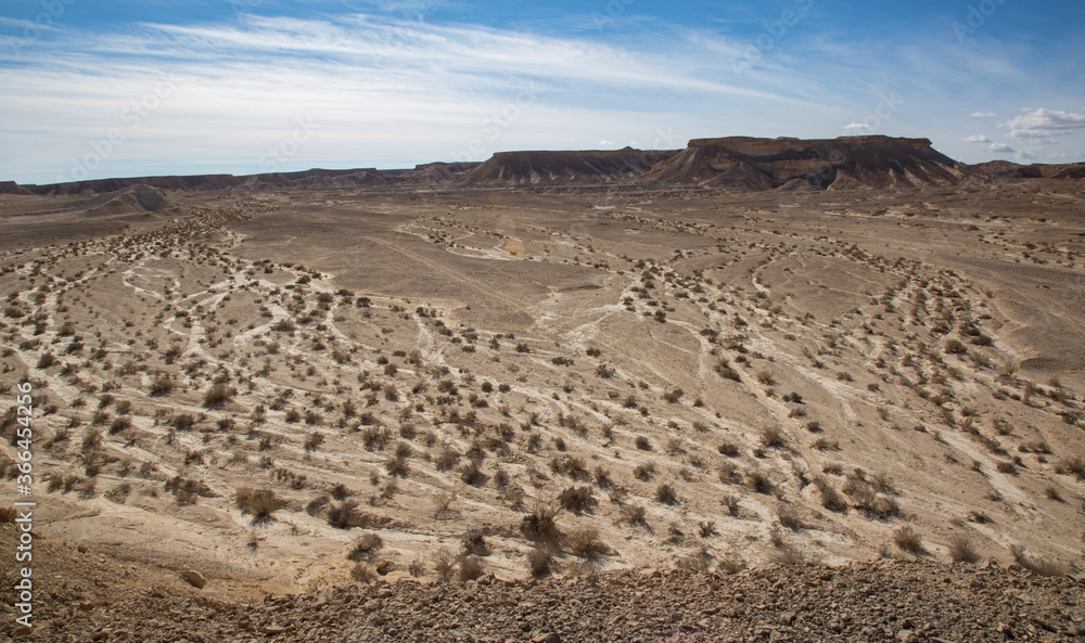 Israeli Desert views -a harsh desert and dry riverbed vegetation shows ...