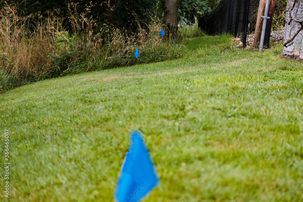 a blue surveyors flag and stake marks the location of a water pipe ...