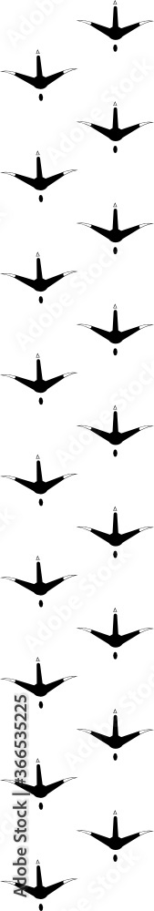 foot steps of hen,hen,footsteps,svg vector file, Stock Vector | Adobe Stock