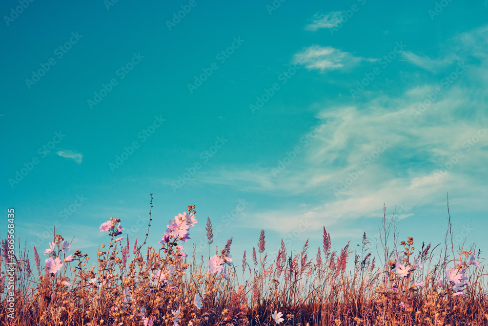 Nostalgic Nature Pictures