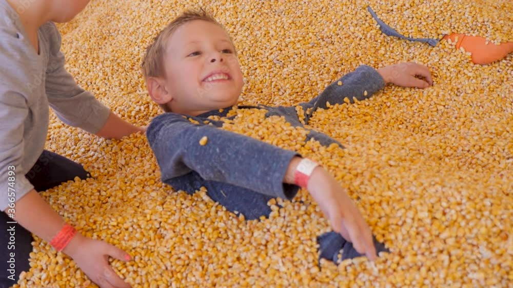 Kids Playing With Kernels In A Corn Box. Kids are playing with the ...