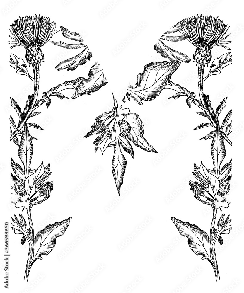 letters from the devil break; graphic black and white drawing of the ...