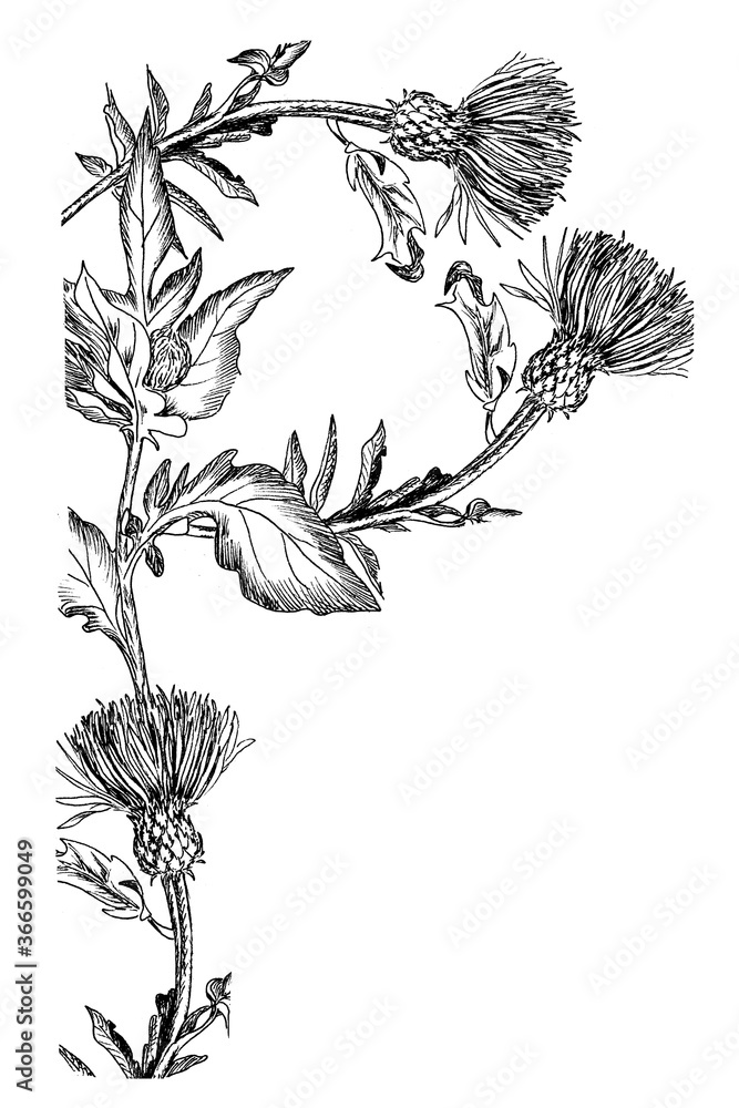 letters from the devil break; graphic black and white drawing of the ...