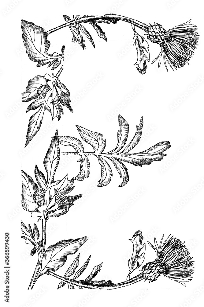 letters from the devil break; graphic black and white drawing of the ...