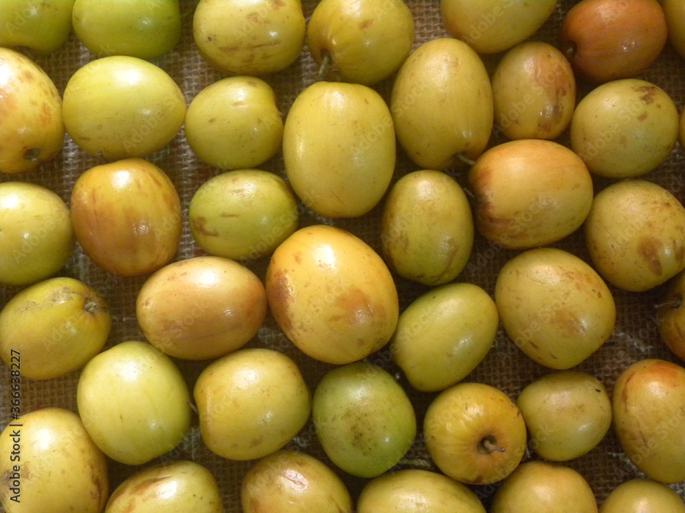 Yellow color Indian jujube or Ziziphus mauritiana fruits Stock Photo ...