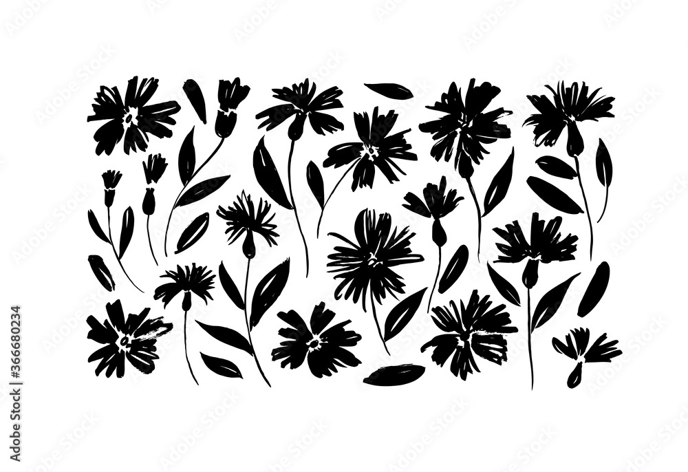 Daisy hand drawn black paint vector set. Ink drawing flowers and plants ...