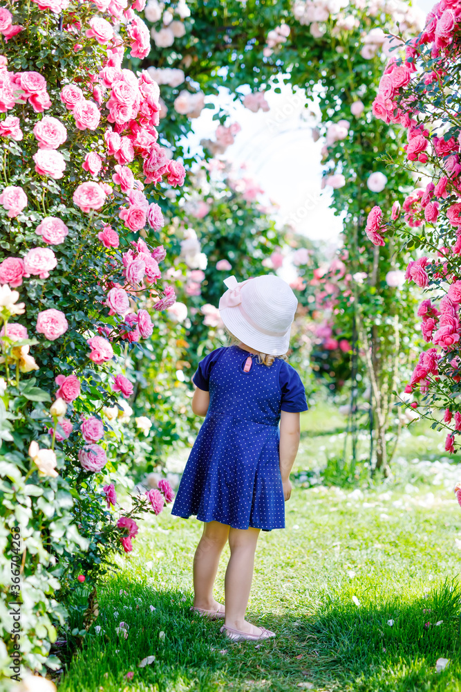 Portrait of little toddler girl in blossoming rose garden. Cute ...