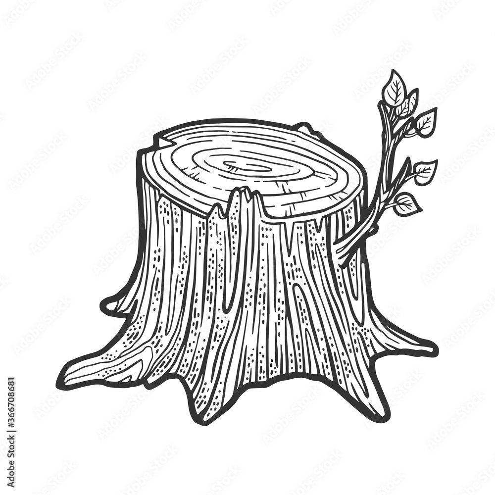 Tree stump with sprout sketch engraving vector illustration. T-shirt ...
