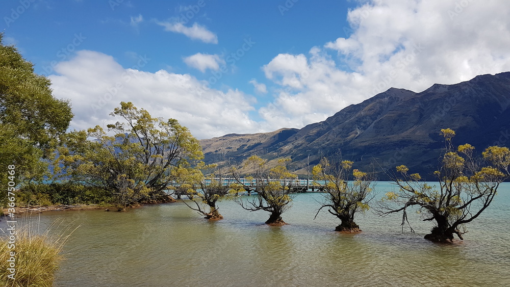 Lake Pukaki with green plants, the largest of three roughly parallel ...