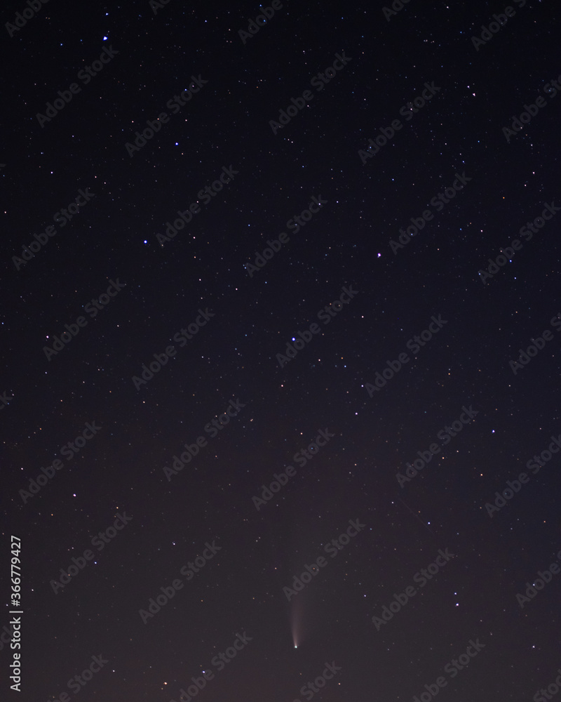 Comet Neowise in the black starry night sky. The sky of the Northern ...