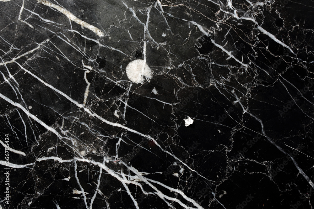 White pattern structure of black Marquina marble texture background for ...
