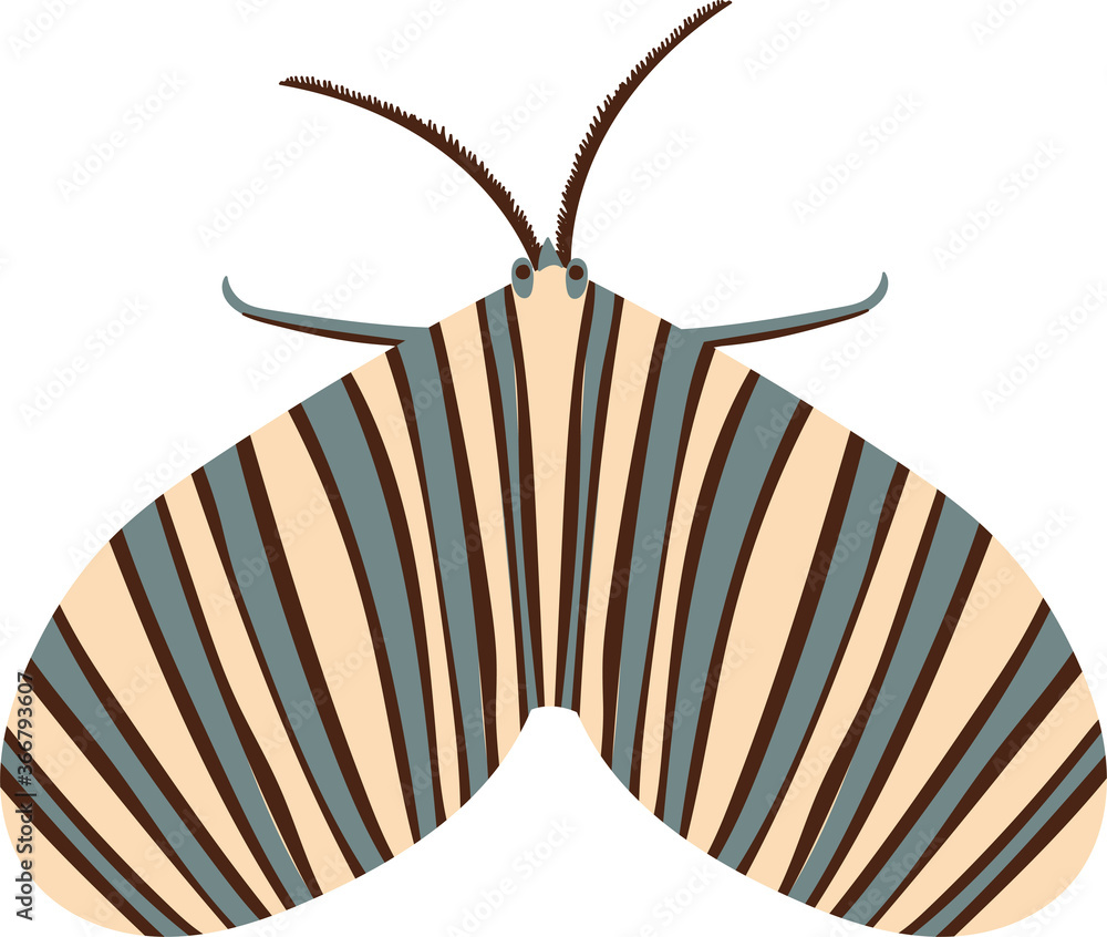 Moth butterfly vector clipart illustration hand drawn Stock Vector ...