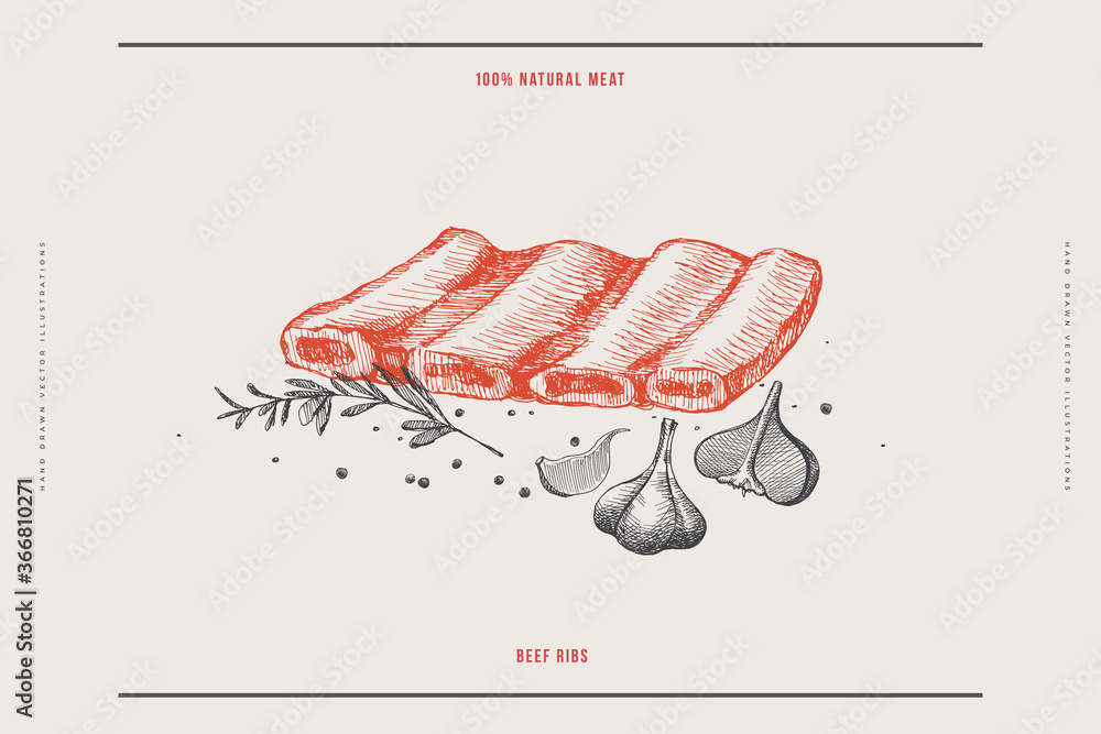 Beef ribs vector illustration. Hand-drawn piece of meat on a light ...