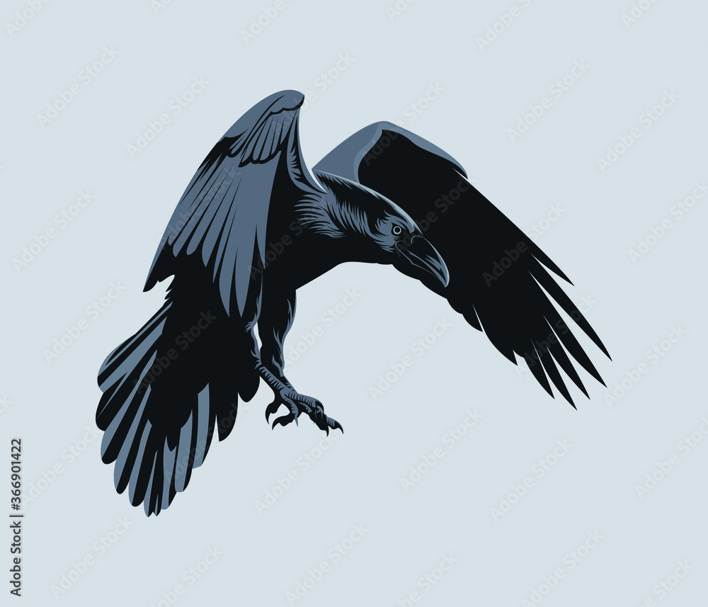 Crow vector illustration Stock Vector | Adobe Stock