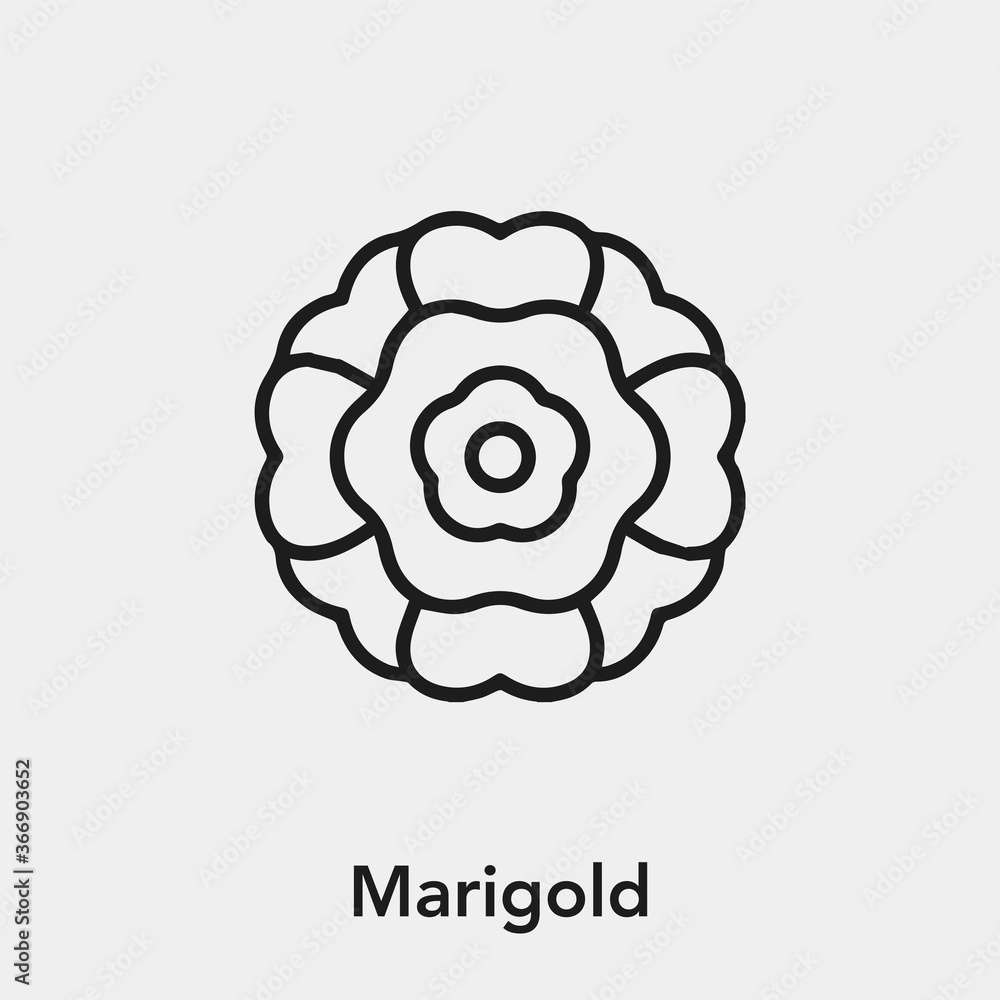 marigold icon vector. Linear style sign for mobile concept and web ...