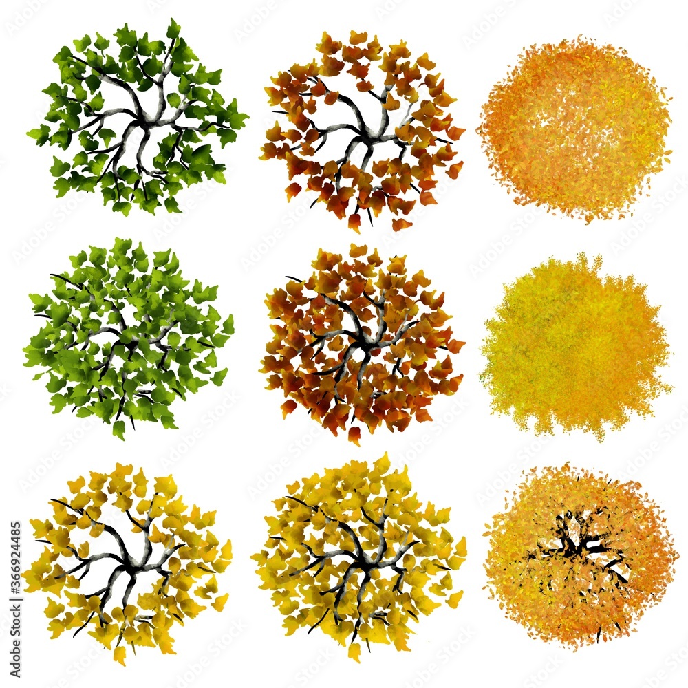 Architectural Watercolor Trees Top View