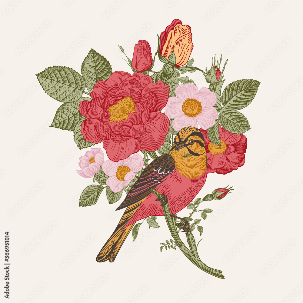 Bird and roses, Decorative element, Vintage vector illustration Stock ...
