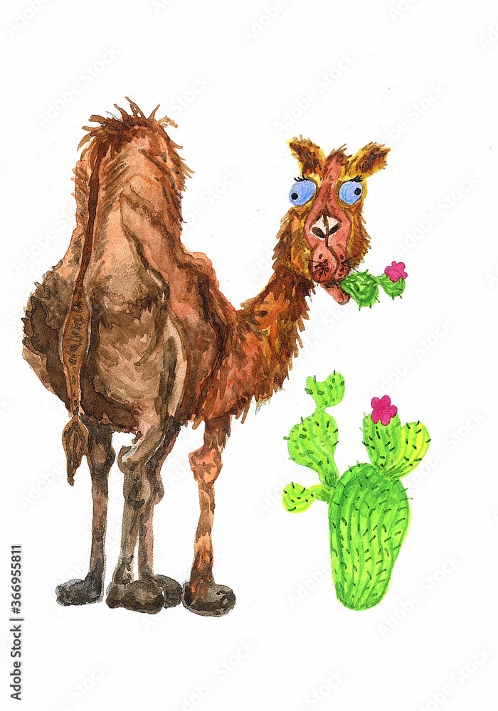 watercolor illustration of a funny cartoon camel turning around and ...
