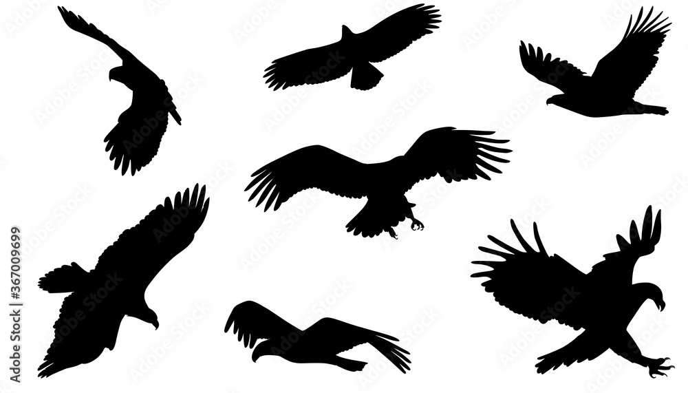 set of eagle silhouette, shadow flat design vector illustration Stock ...