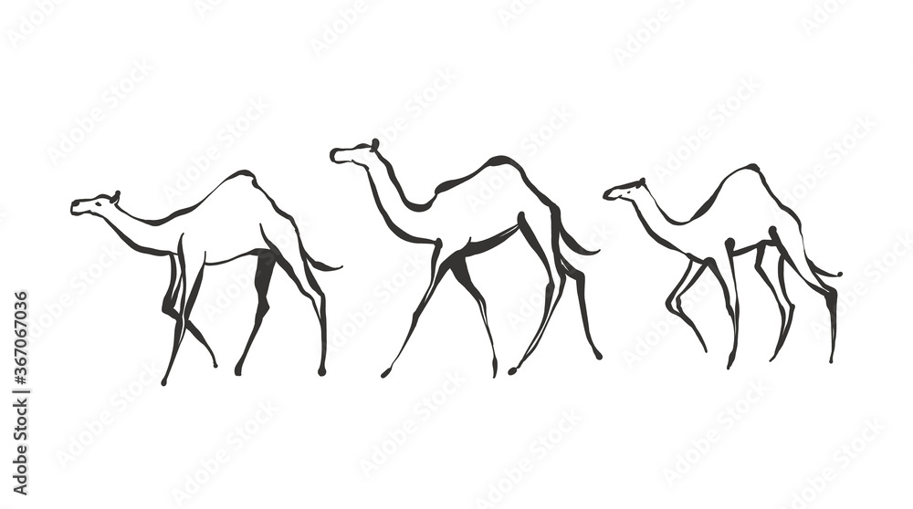 Black line camel. Egypt symbol. Ancient line logo t-shirt design ...