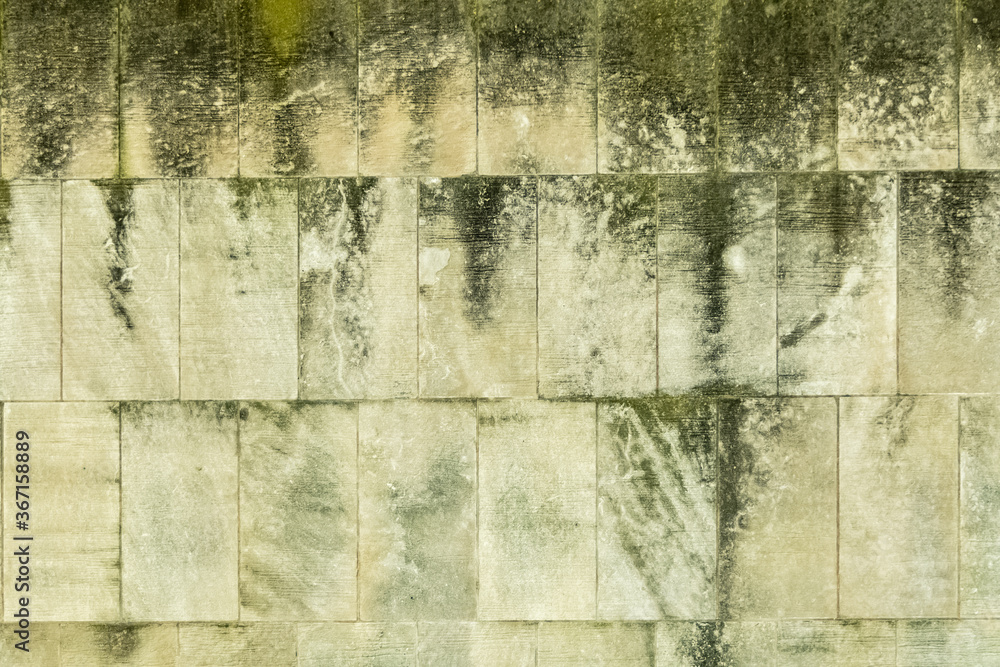 Grunge cinder block wall with stains from green mold. Stock Photo ...