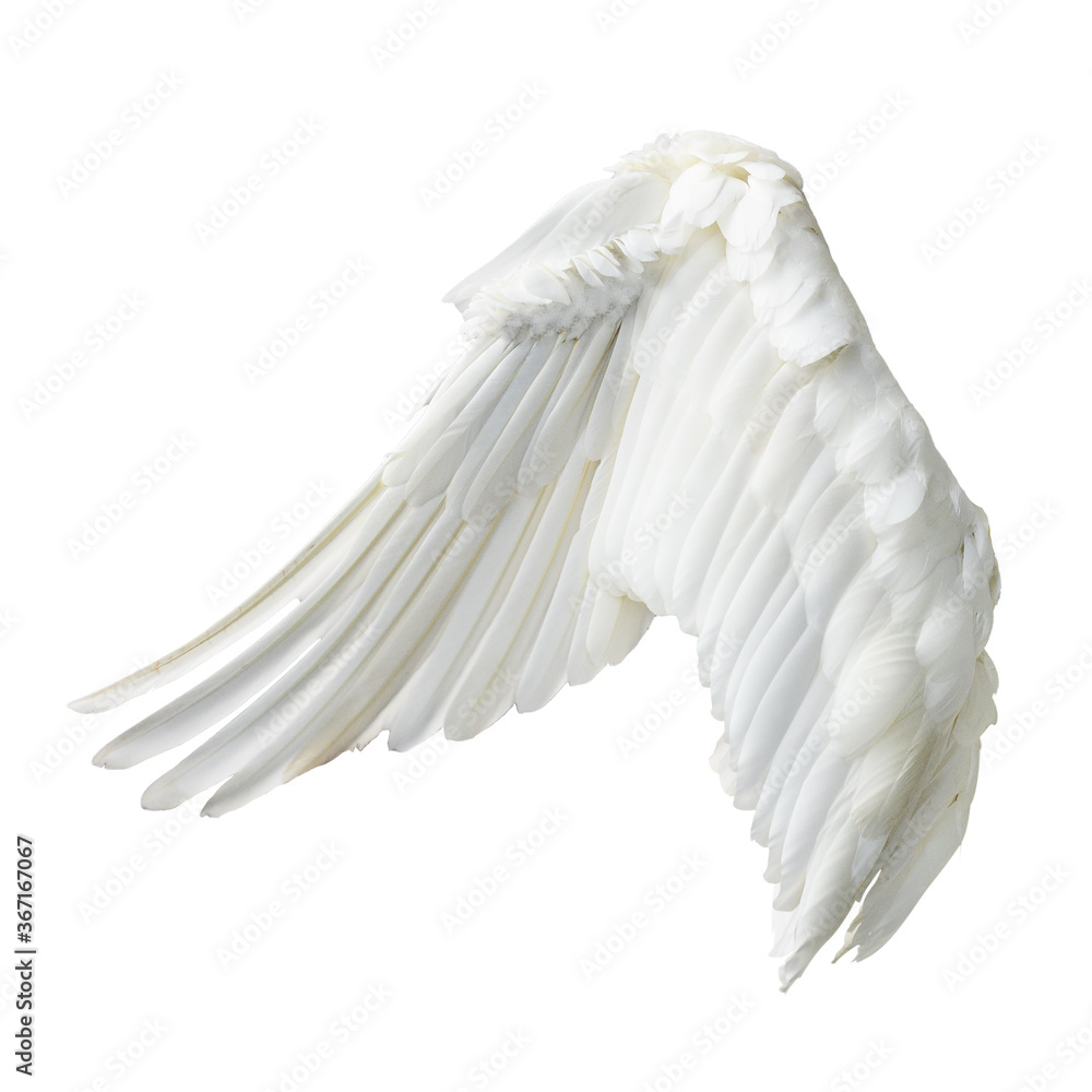 Right Angel Wing
