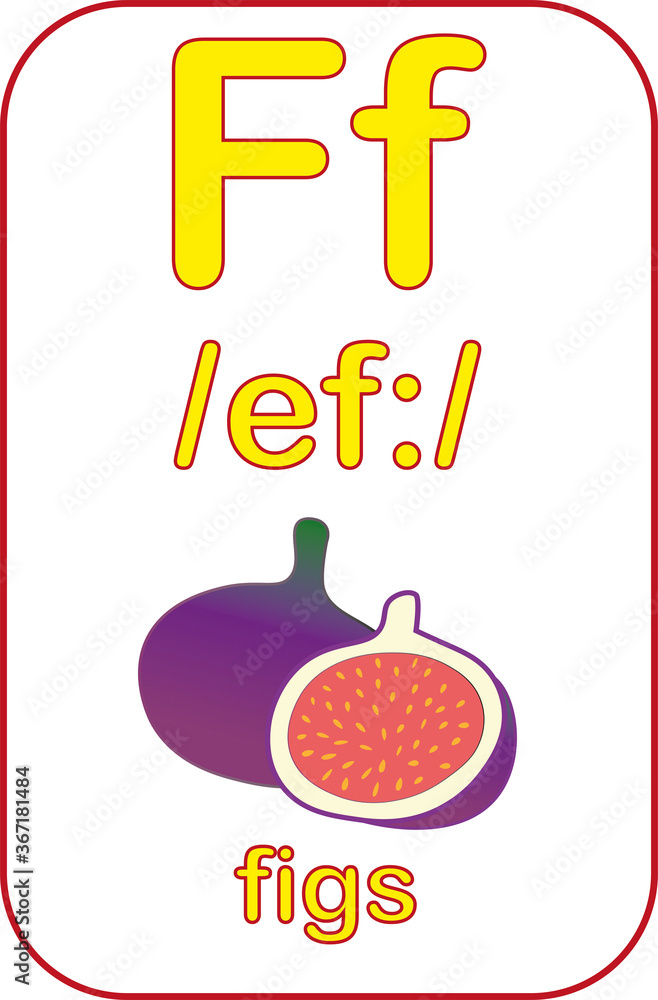 Letter F. Alphabet tutorial cards collection. Vector illustration ...