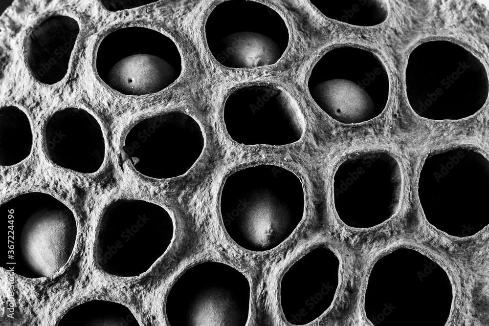 Abstract honeycomb pattern background can create Trypophobia Stock ...