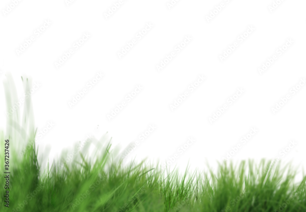 green grass fresh overlay herbal growth banners and fresh overlay ...