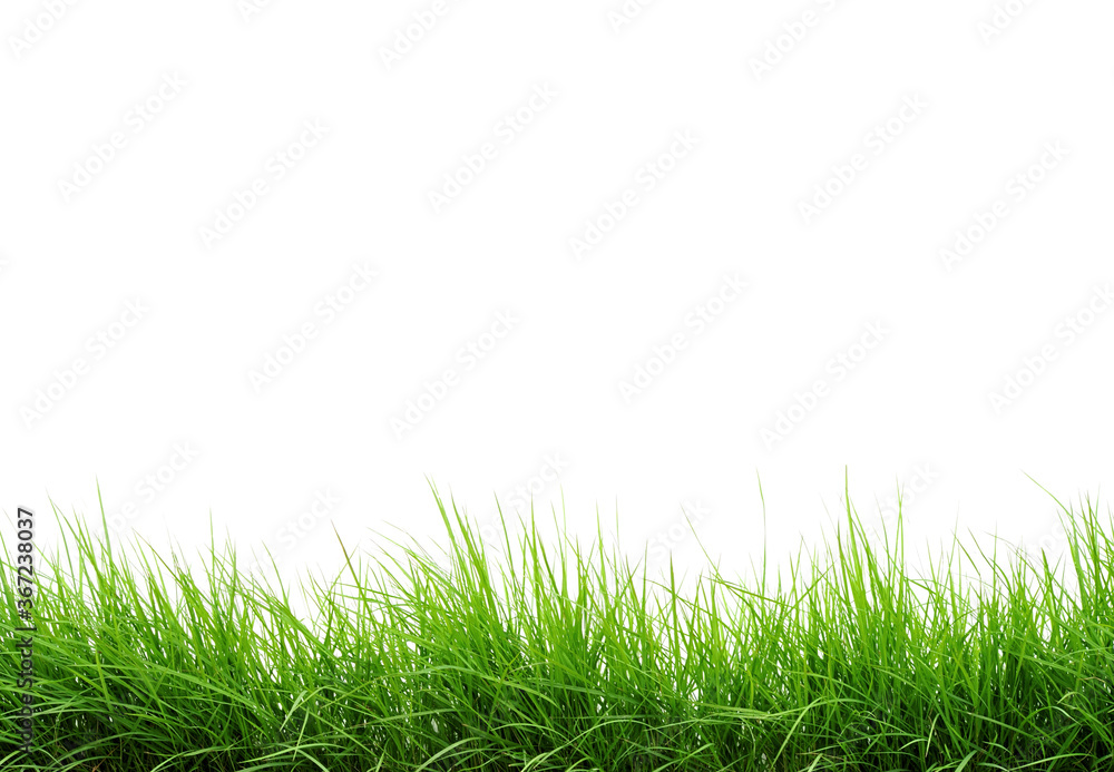 green grass fresh overlay herbal growth banners and fresh overlay ...
