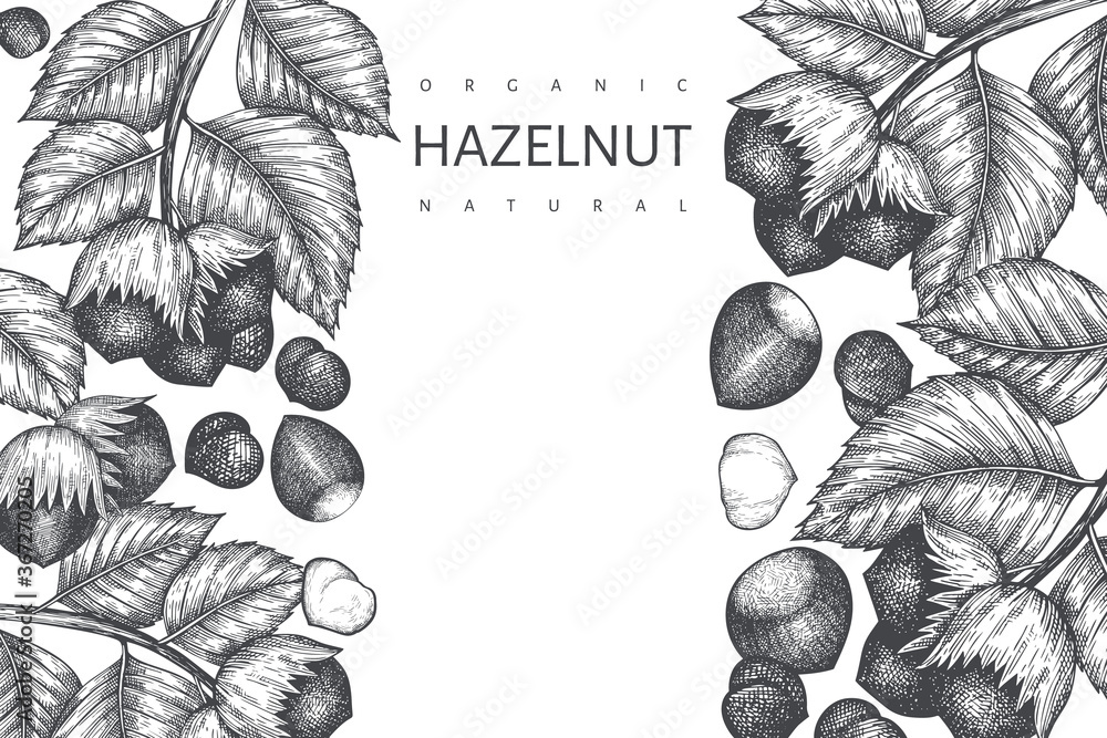 Hand drawn sketch hazelnut design template. Organic food vector ...