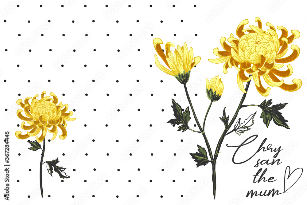 Yellow chrysanthemum flower and script quote. Vector polka dot greeting ...