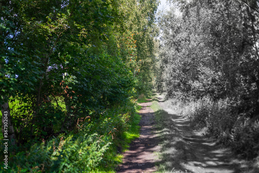 Landscape photos that combine the old and new with a gradient of color ...