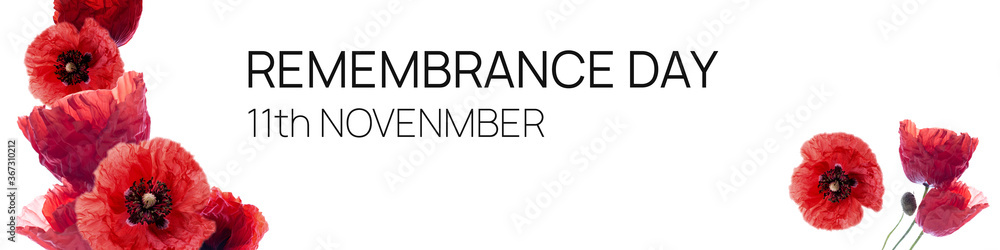 Remembrance day banner with poppy flowers against white background ...