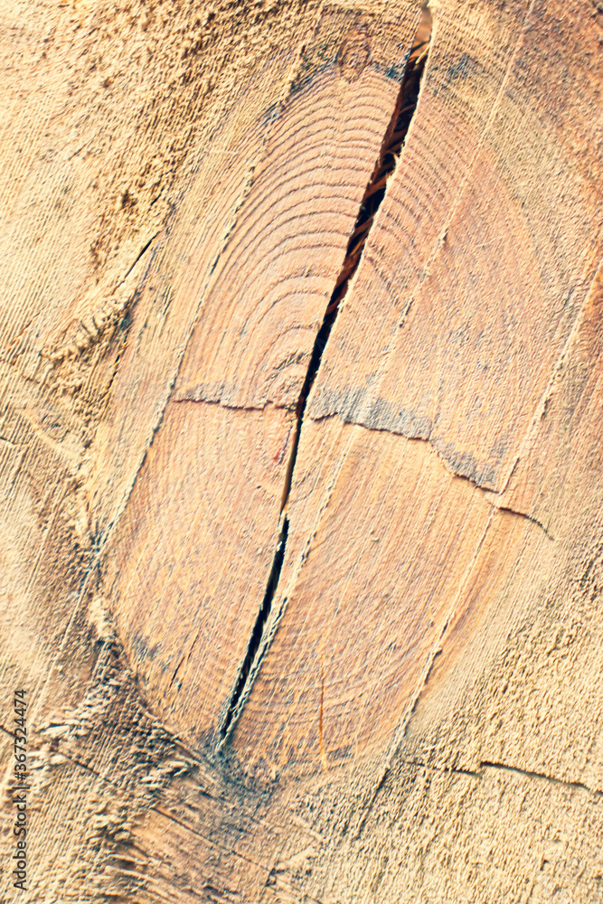 The longitudinal sawed down the tree. Dry wooden board. Lines of annual ...