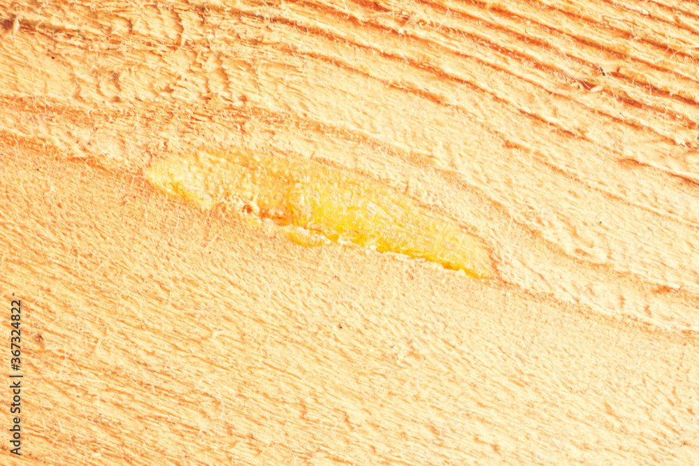 The longitudinal sawed down the tree. Dry wooden board. Lines of annual ...