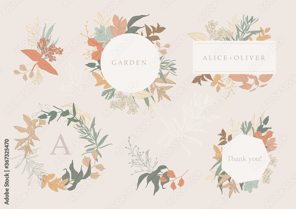 Botanical garden. Vector collection of hand drawn plant elements Stock ...
