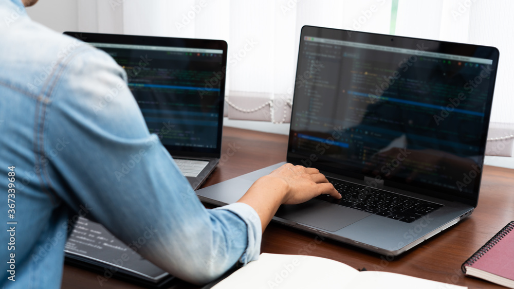 Programmer or software developer Typing New Lines of Code, coding ...